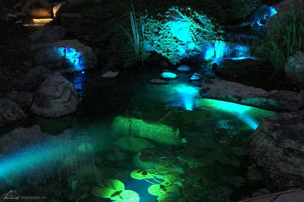 Exotic AquaGardens | New Jersey Water Feature Installation